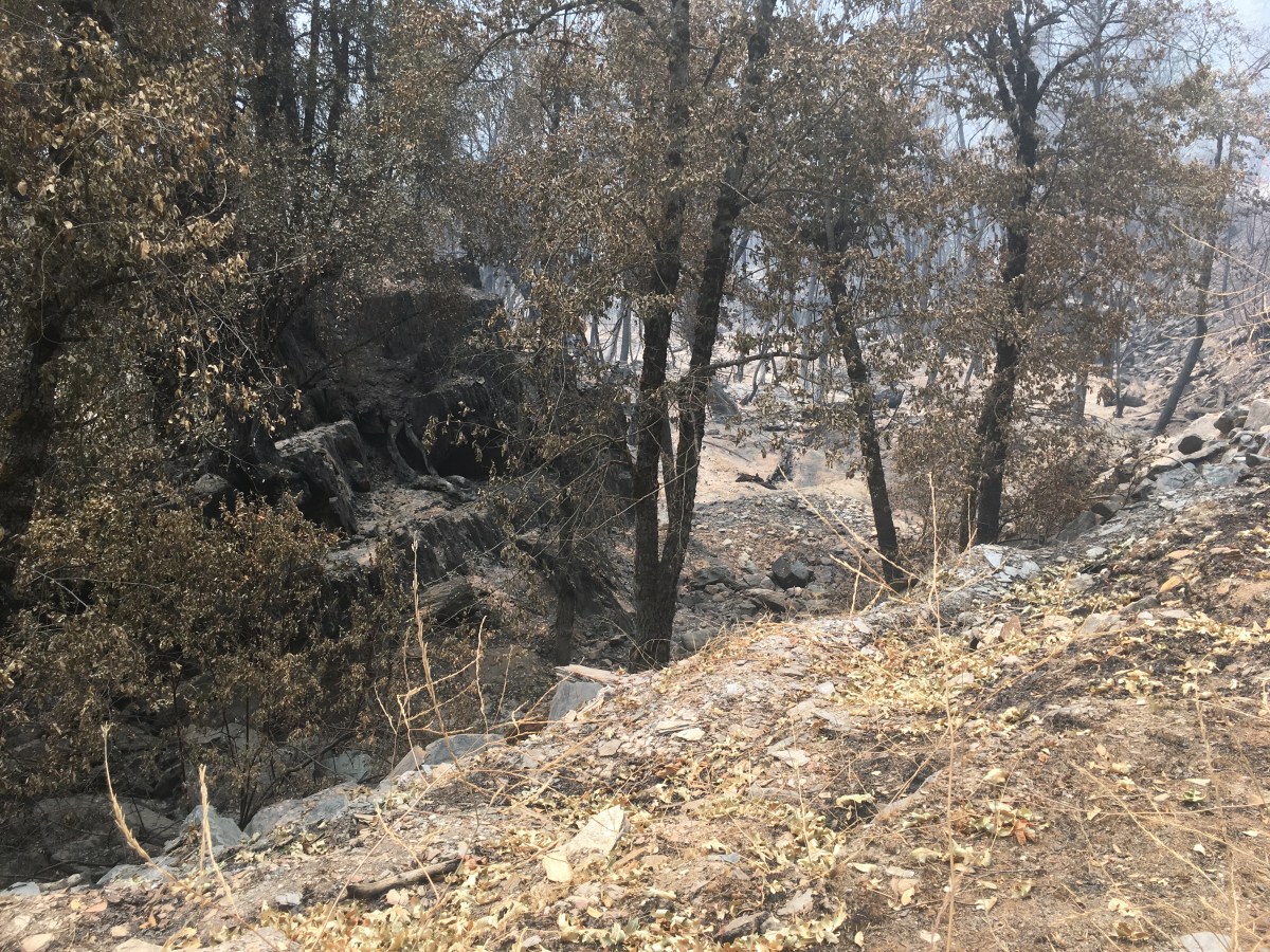 11 days in – Throwing Chanclas